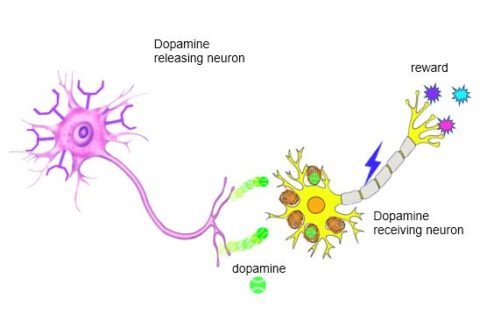 SCIENCE OF ADDICTION - TruthPharm.org