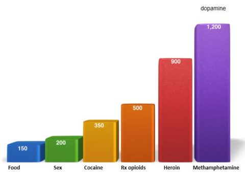 SCIENCE OF ADDICTION - TruthPharm.org